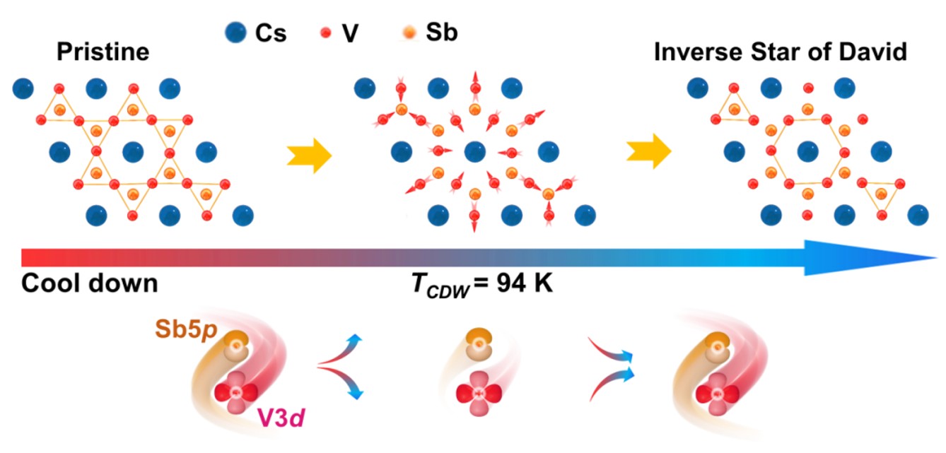 理学院尹鑫茂教授等在《Advanced Materials》上发表Kagome超导体最新成果-上海大学新闻网